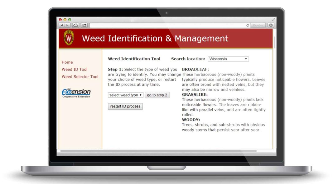 Weed Identification: A Crucial Component of Weed Management ...