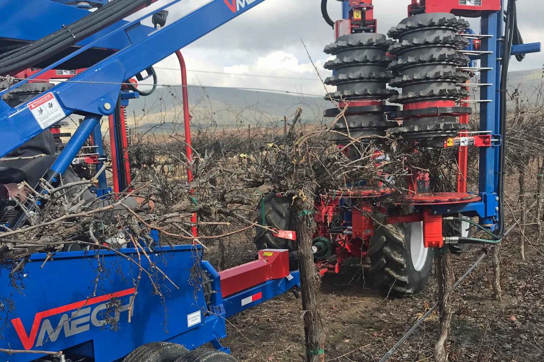 Mechanized Vineyard—Is it the Wave of the Future? - Progressive Crop ...