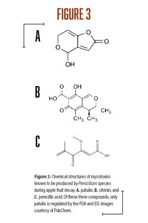 Tools, Tactics, and Strategies for Managing Postharvest Decay of Apple ...