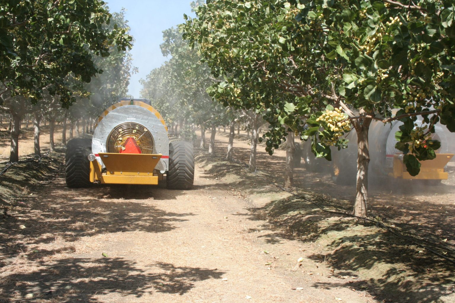 Foliar Feeding of Plant Nutrition | Progressive Crop Consultant