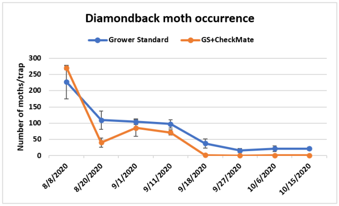 Enhancing Diamondback Moth Management with Mating Disruption ...