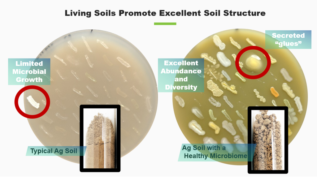 Managing Soil Structure and Quality | Progressive Crop Consultant