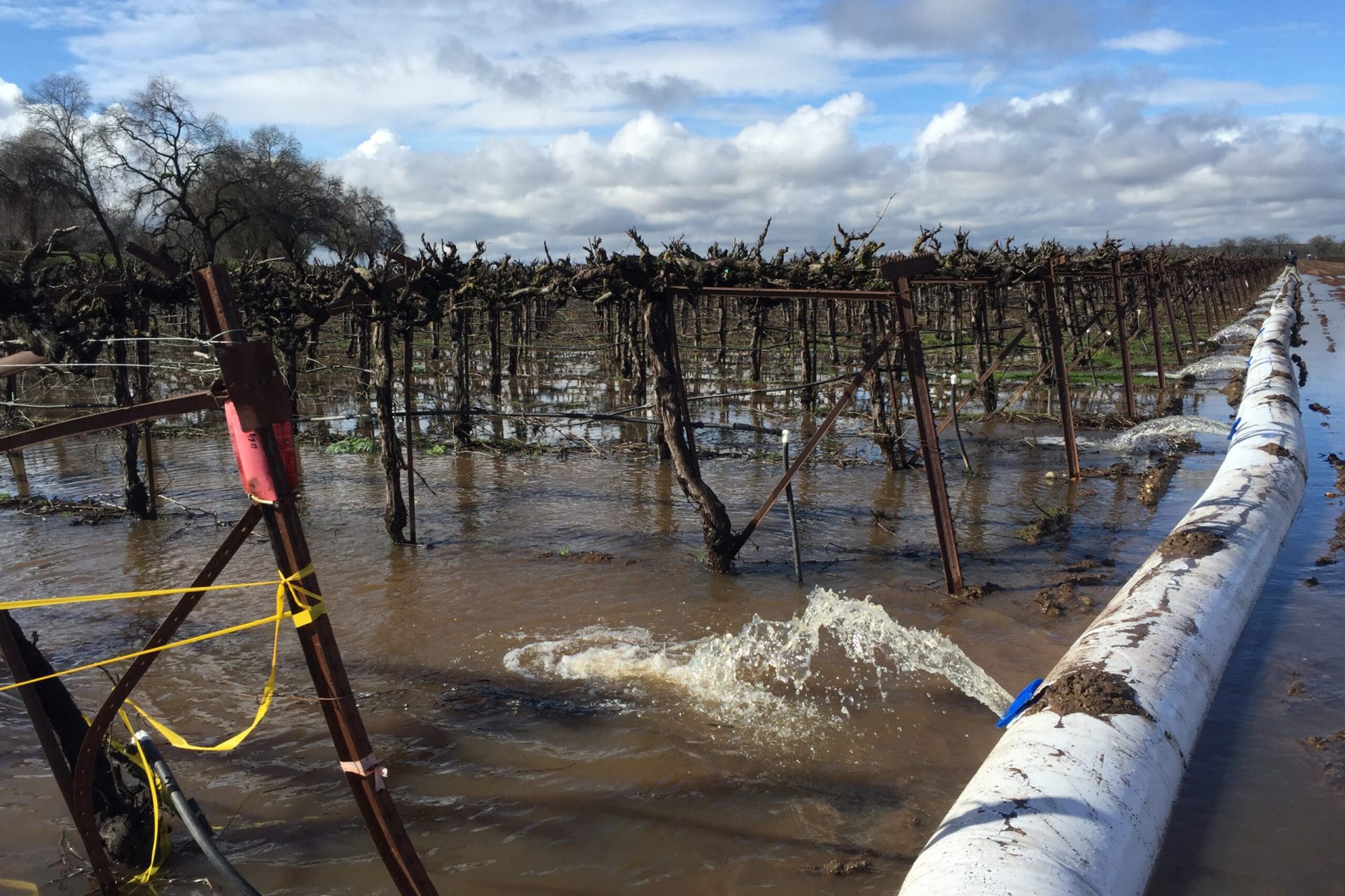 Identifying the Potential and Impacts of On-Farm Groundwater Recharge ...