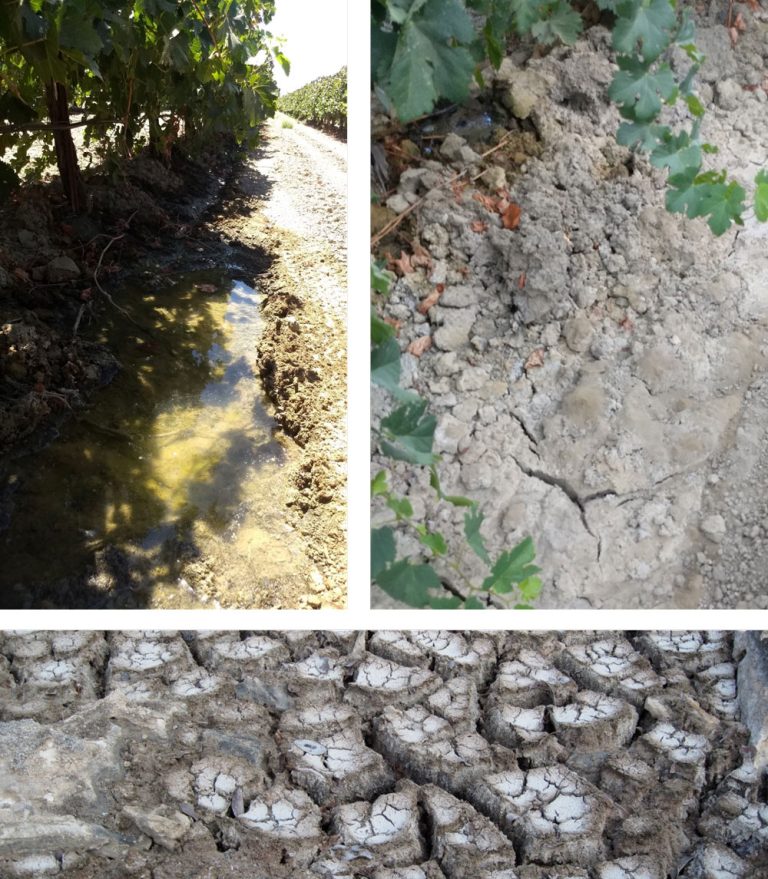 Use of Gypsum to Reclaim Salt Problems in Soils - Progressive Crop ...