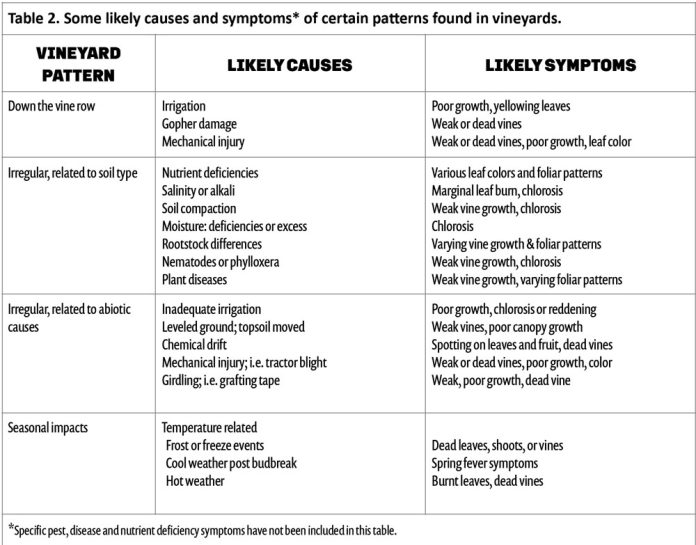 Diagnosing Vineyard Problems | Progressive Crop Consultant