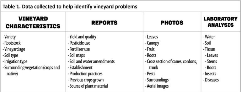 Diagnosing Vineyard Problems | Progressive Crop Consultant