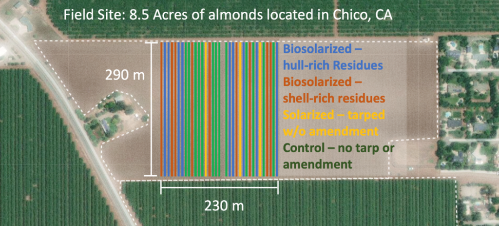 Biosolarization: Returning Almond Hulls and Shells to the Orchard to ...