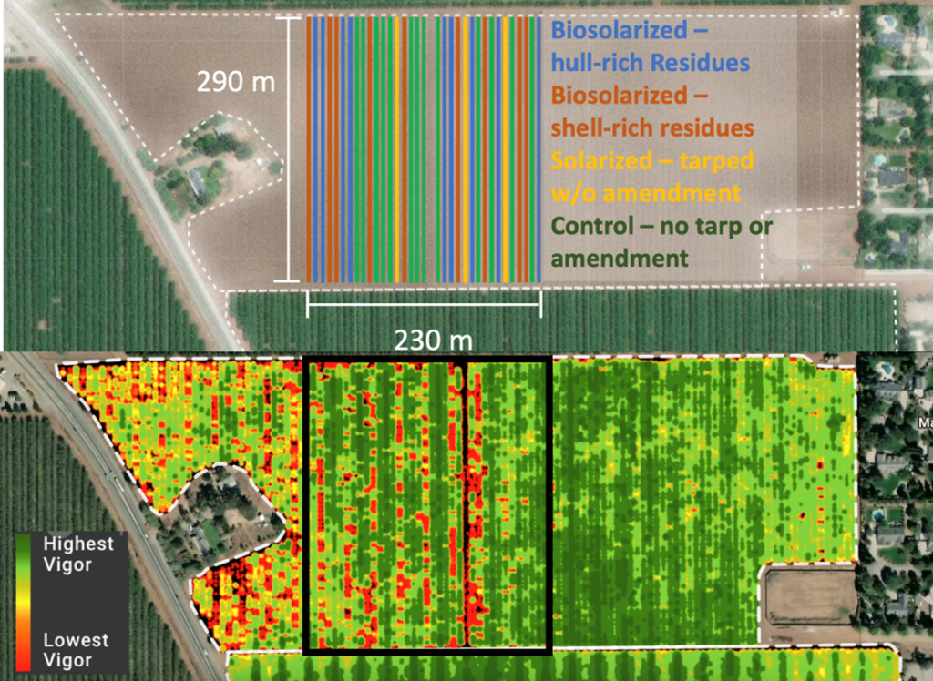 Biosolarization: Returning Almond Hulls and Shells to the Orchard to ...