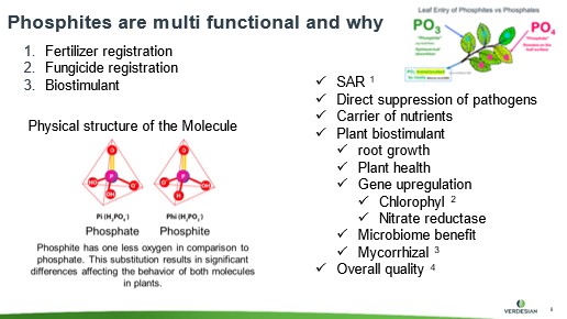 Phosphate vs Phosphite Part Two: Can Phosphites Serve the Function of a ...
