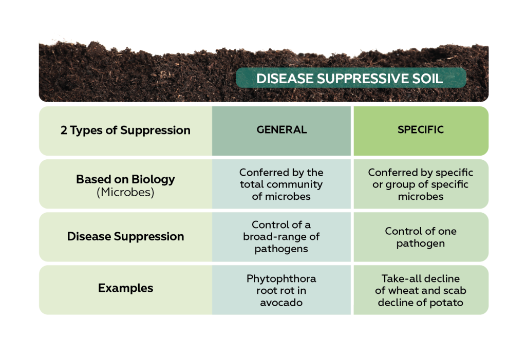 The Key to Building a Soil that Can Suppress Pathogens Naturally ...