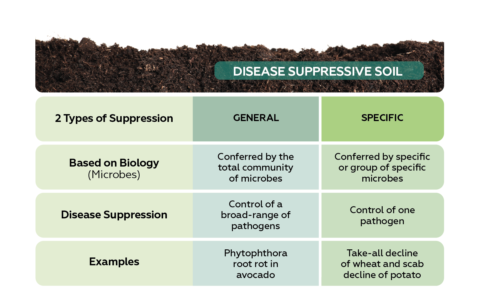 The Key to Building a Soil that Can Suppress Pathogens Naturally ...