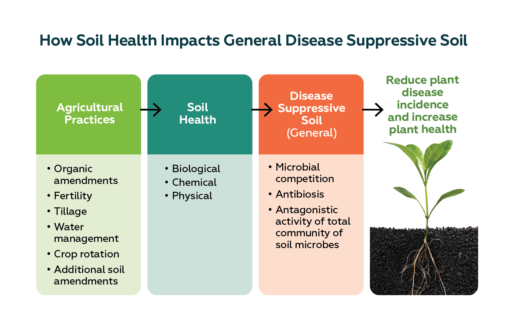 The Key to Building a Soil that Can Suppress Pathogens Naturally ...