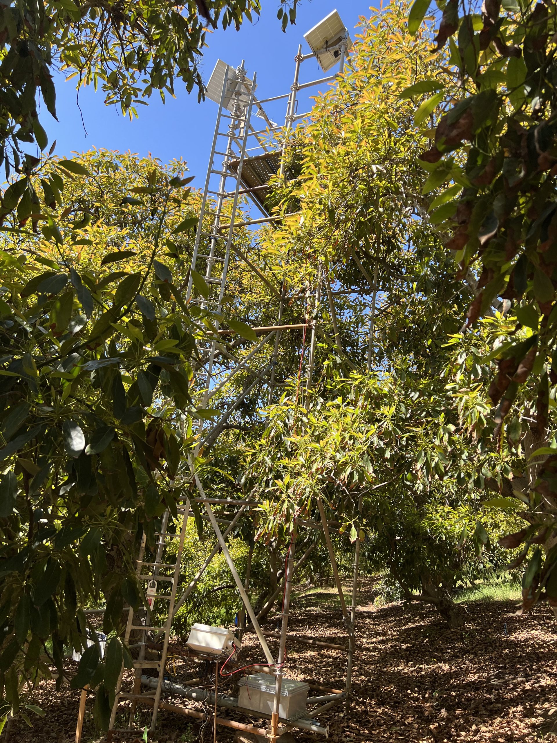 Irrigation Tools and Information for Efficient Water Management in ...