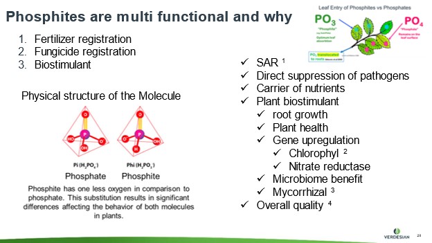 Phosphate vs Phosphite: Part Three | Progressive Crop Consultant