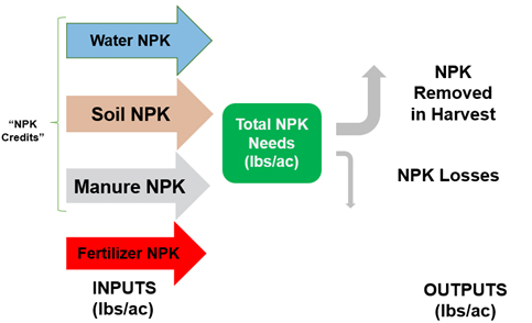 Fertilizer Planning for Forage Crop Production | Progressive Crop ...