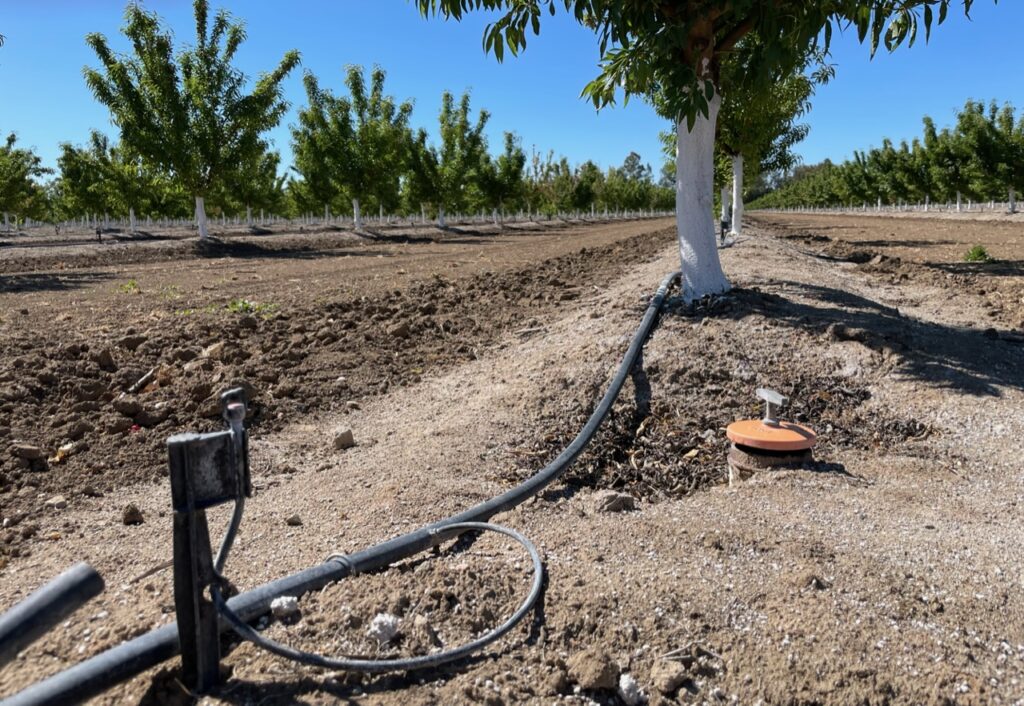 Carbon Footprint in Almond Orchards: A Reason to Care - Progressive ...