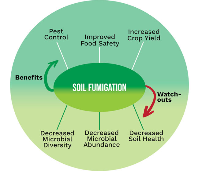 Soil Microbiome Post-Fumigation: Building Soil Microbe Populations Back ...