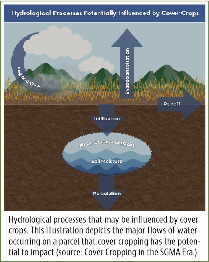 Cover Crops, Groundwater and SGMA: A Complex Relationship | Progressive ...