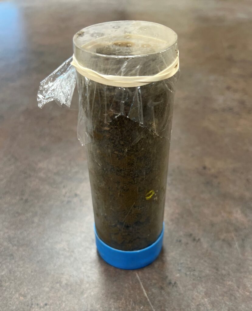 Organic vs Conventional Vegetable Production: Pros and Cons ...