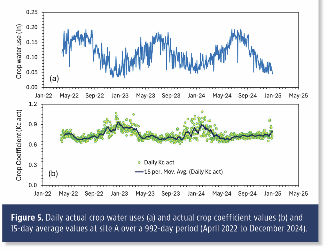 Hass Avocado Crop Water Consumption Affected by Various Environmental ...
