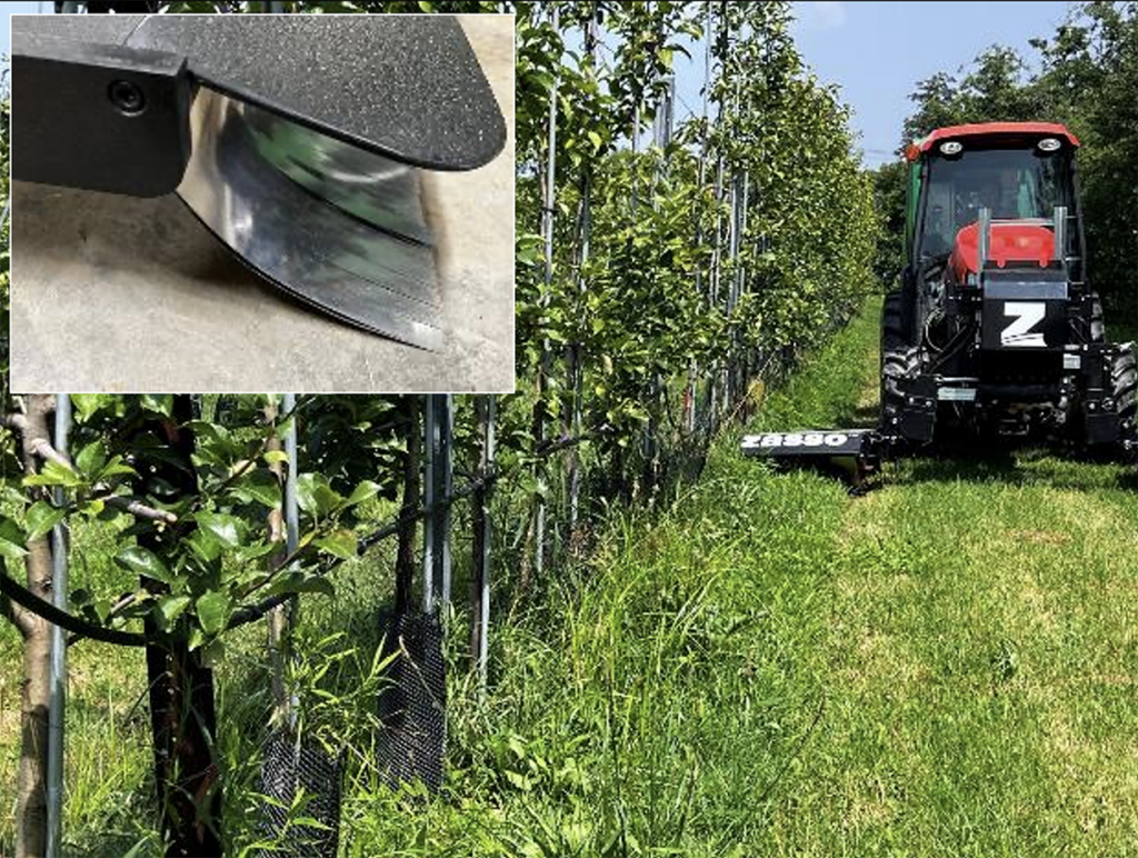 Powering Up Weed Control: Performance and Potential of Electrical ...